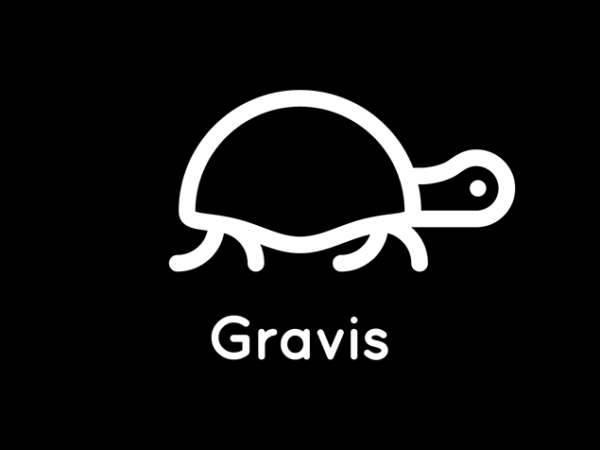 Fund Manager Q&A – Gravis Capital Management